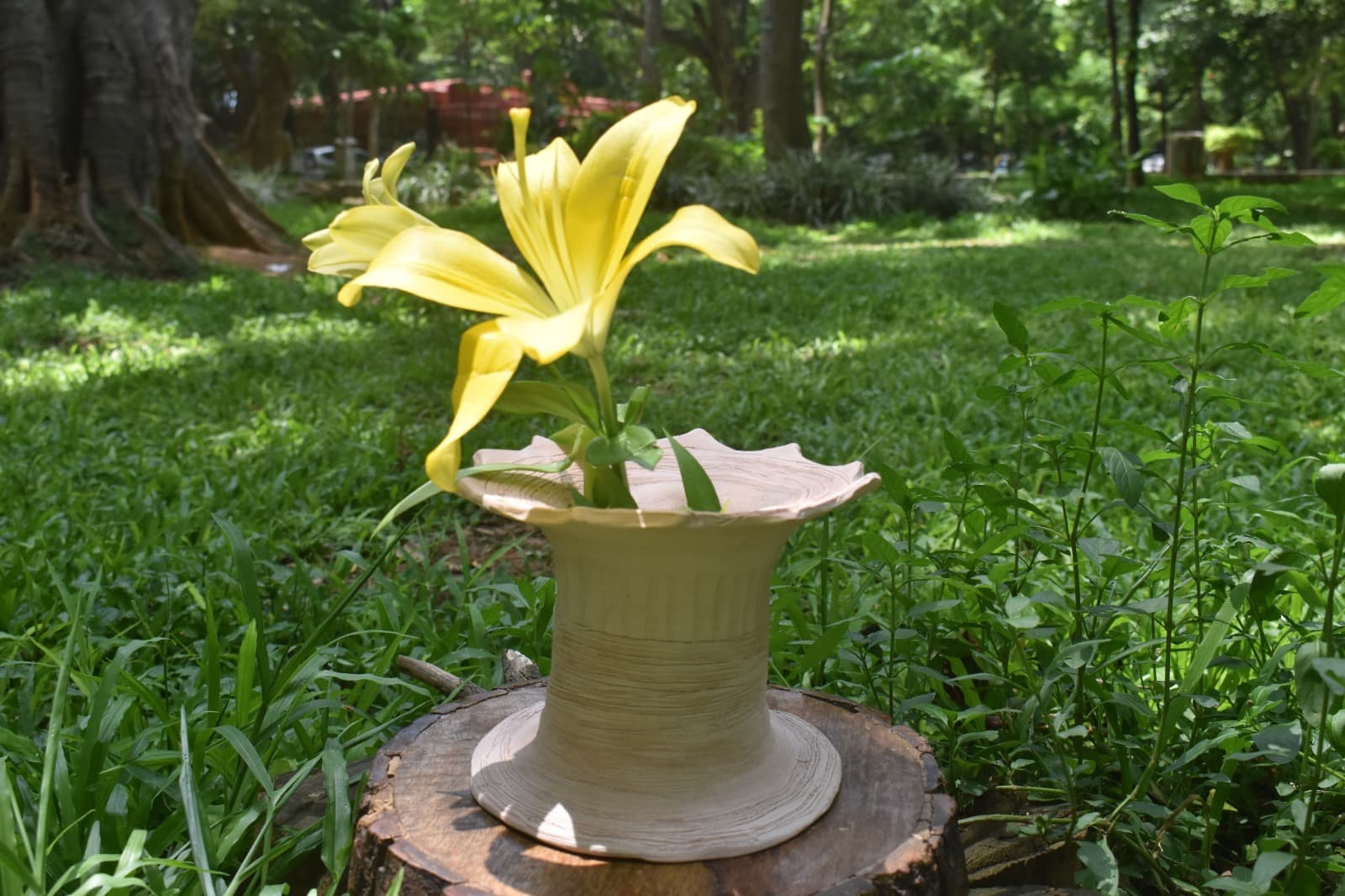 Online beginner ceramics course: handbuilding | Roopam